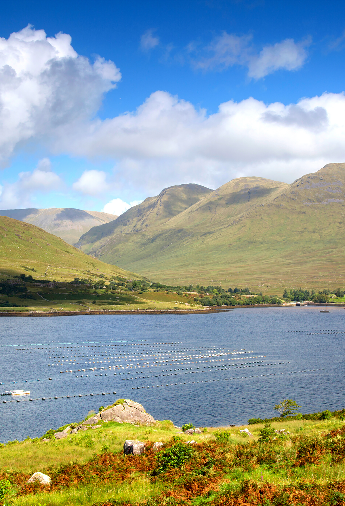 Top 10 Activities | Activities in Ireland | Clifden Station House